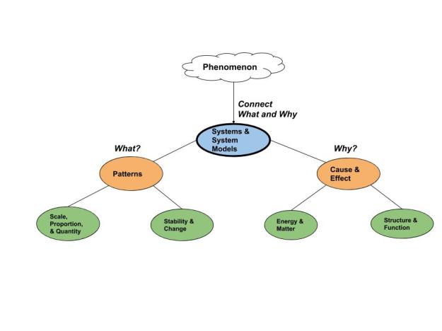 Crosscutting Concepts | Lori Andersen